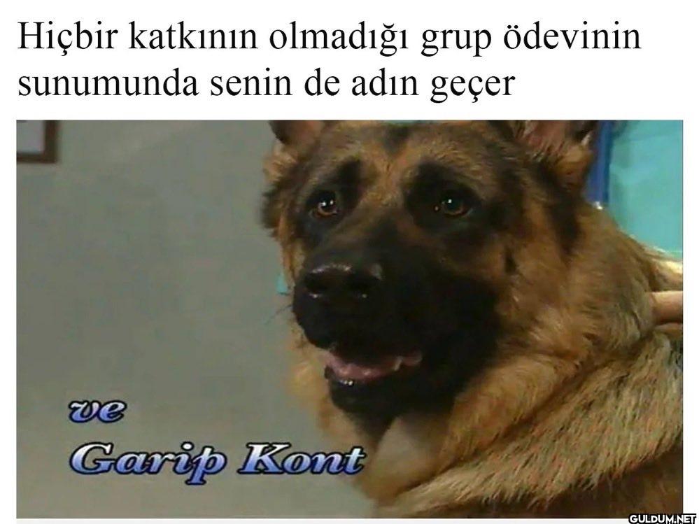 Hiçbir katkının olmadığı grup ödevinin sunumunda senin de adın geçer ve ...