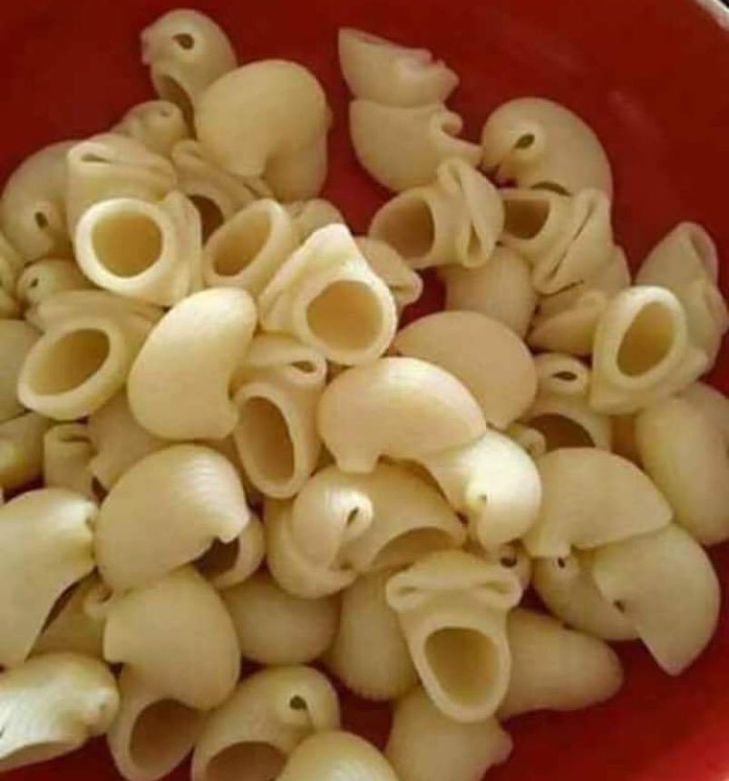 Guldum.net - Caps arama motoru