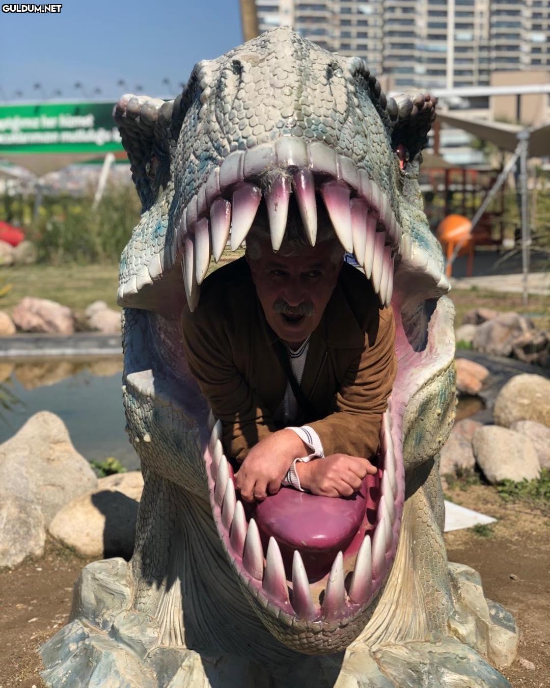 Guldum.net - Caps arama motoru