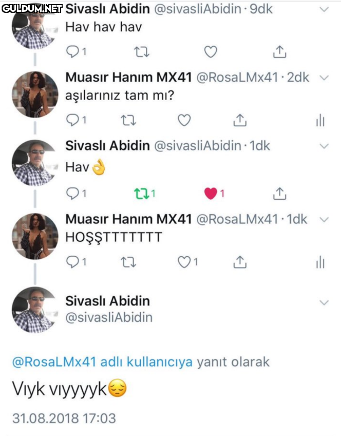 Sivaslı Abidin @sivasliAbidin - 9dk Hav hav hav 1 Muasır Hanım MX41 @RosaLMx41 2dk v aşılarınız ...