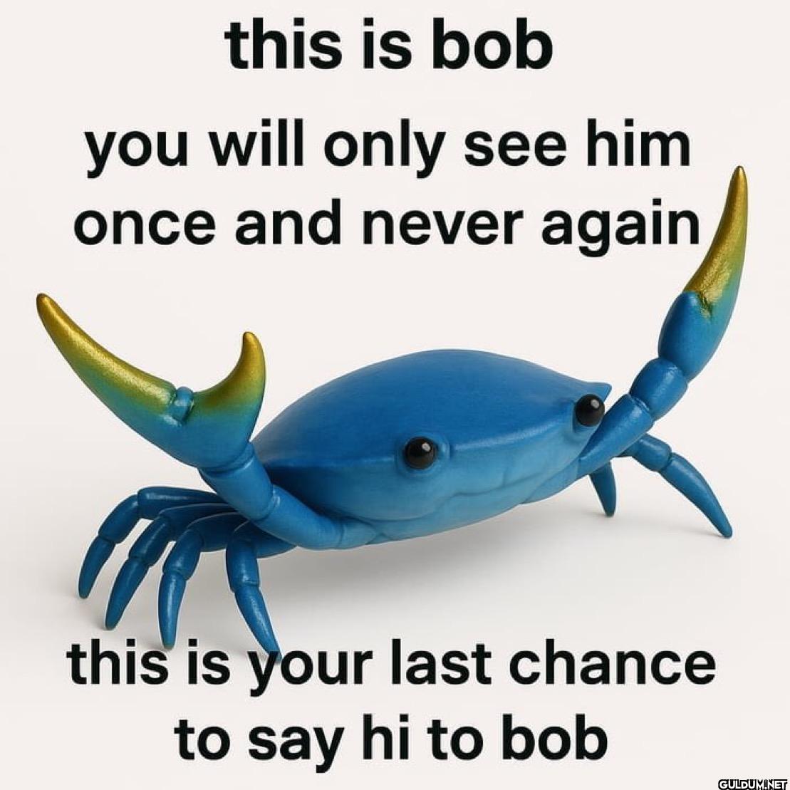 this is bob you will only see him once and never again this is your ...