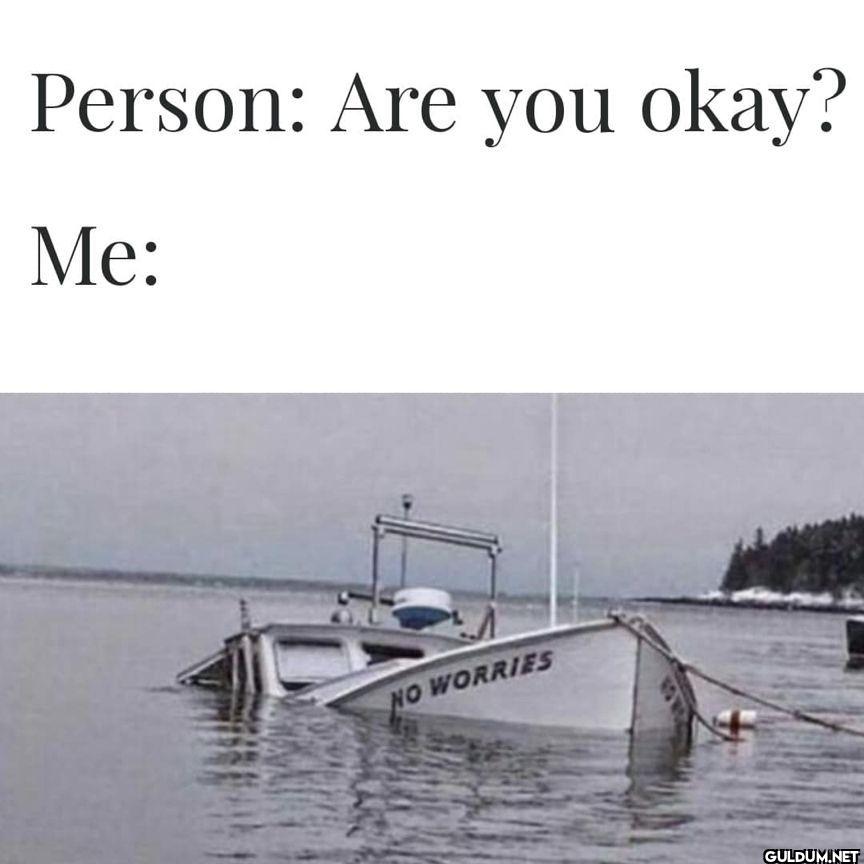 Person: Are you okay? Me: NO WORRIES - Guldum.net - Caps arama motoru