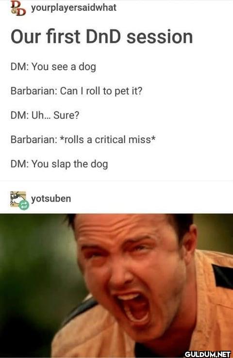 yourplayersaidwhat Our first DnD session DM: You see a dog Barbarian ...