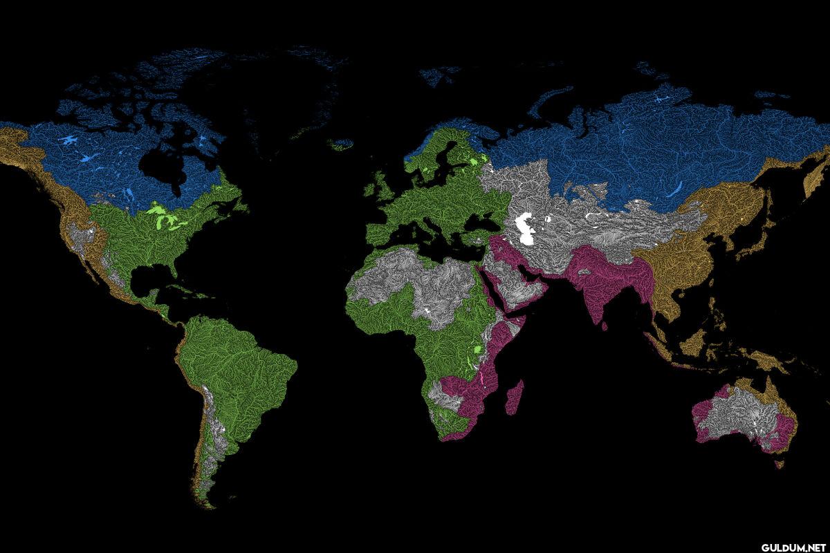 Nobody Has Ever Made A Map Like This Before: Every River Worldwide And ...