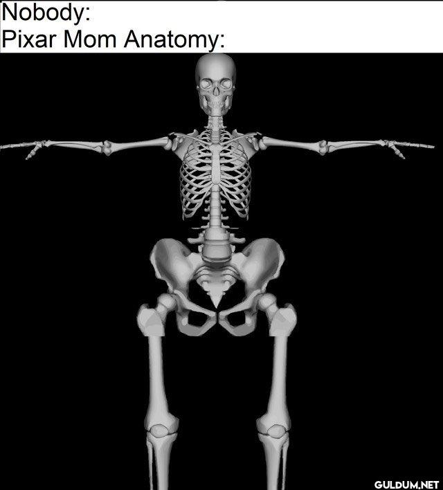 Nobody: Pixar Mom Anatomy: - Guldum.net - Caps arama motoru