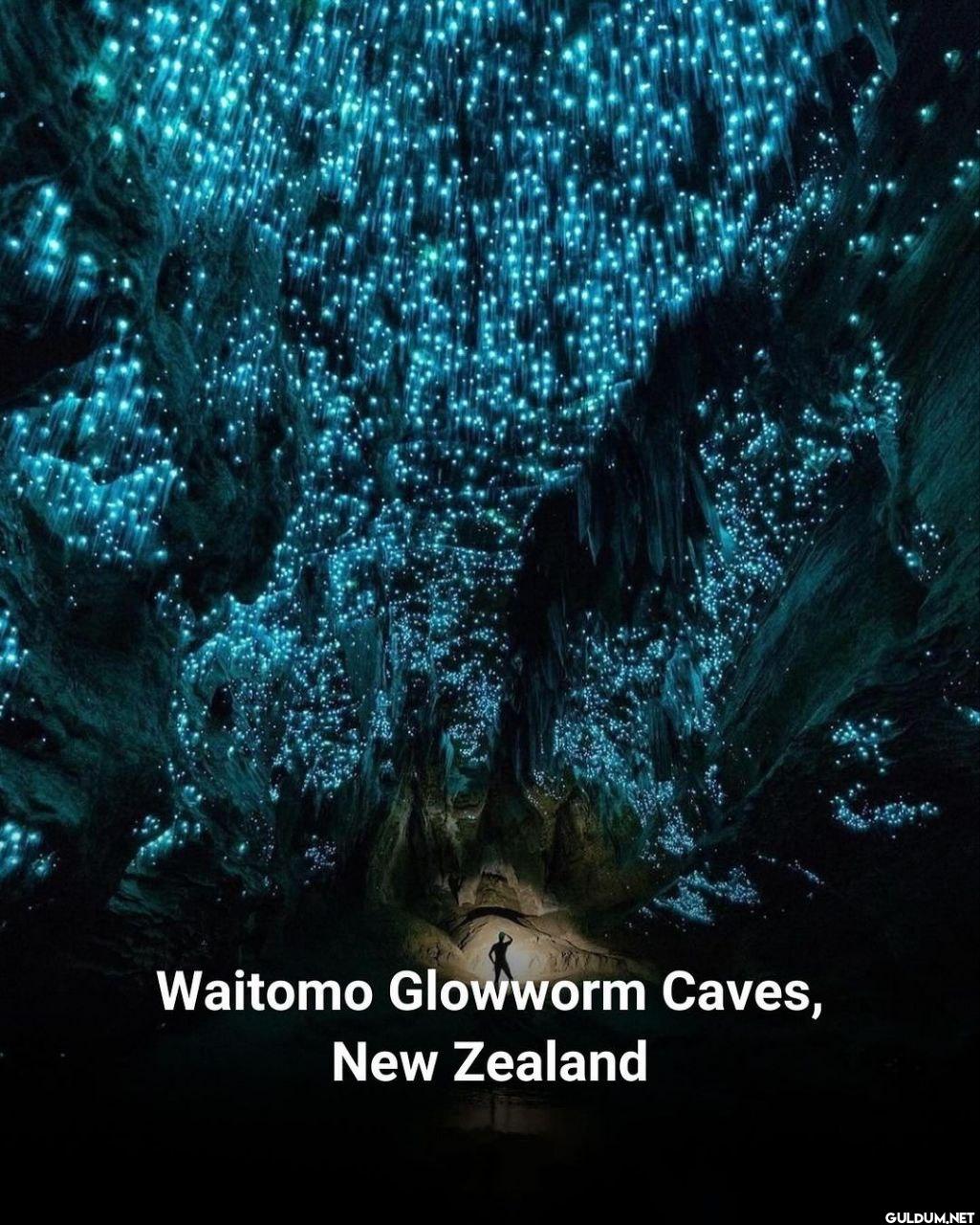 2. Waitomo Glowworm Caves, New Zealand Waitomo Glowworm Caves, New ...