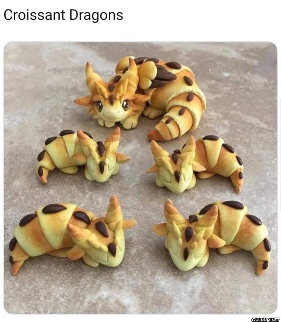 Croissant Dragons - Guldum.net - Caps arama motoru