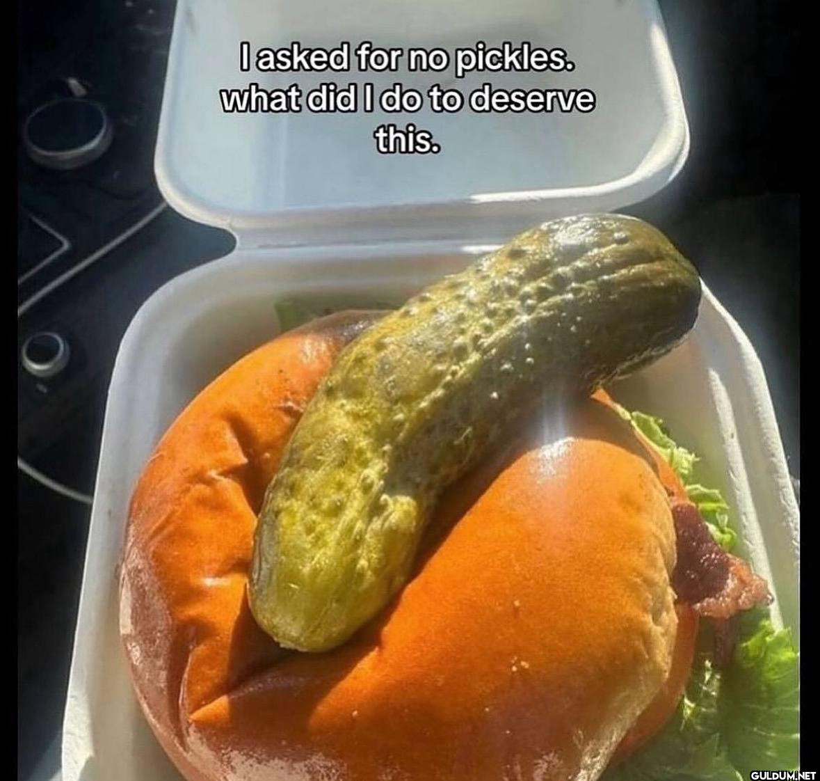 I asked for no pickles. what did I do to deserve this. - Guldum.net ...