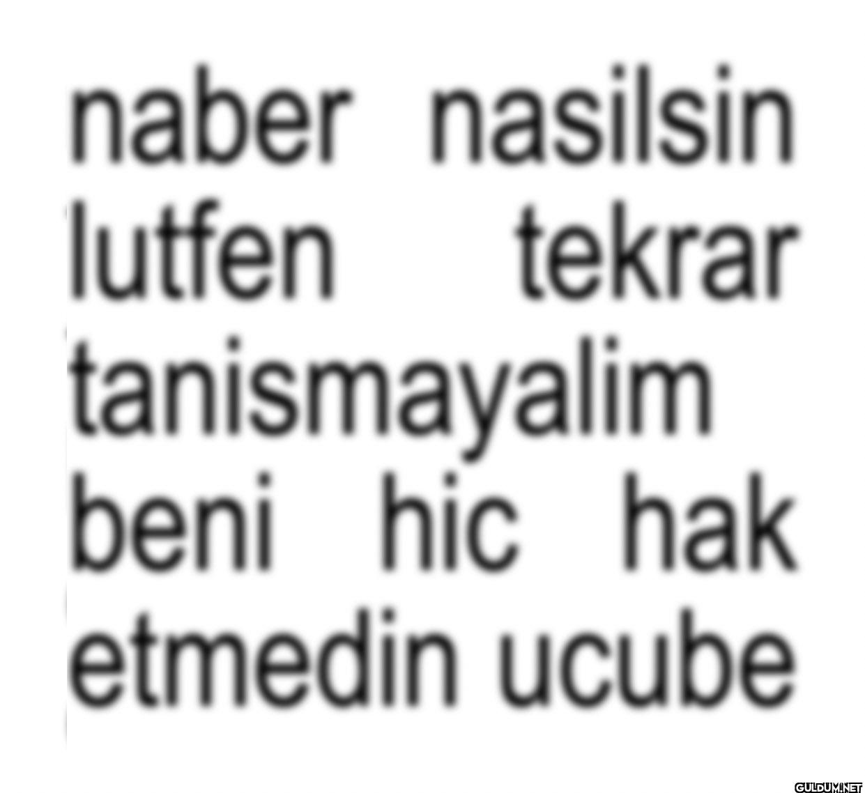 naber nasilsin lutfen tekrar tanismayalim beni hic hak etmedin ucube ...
