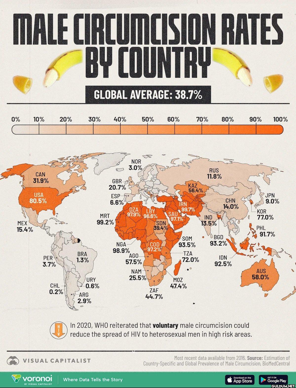 Male circumcision by country 🗺️:- Visual Capitalist MALE CIRCUMCISION ...
