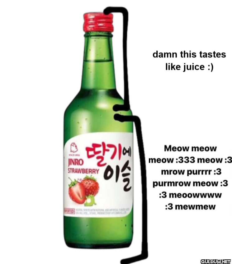 damn this tastes like juice :) JINRO 딸기에 STRAWBERRY 이슬 Meow meow meow ...