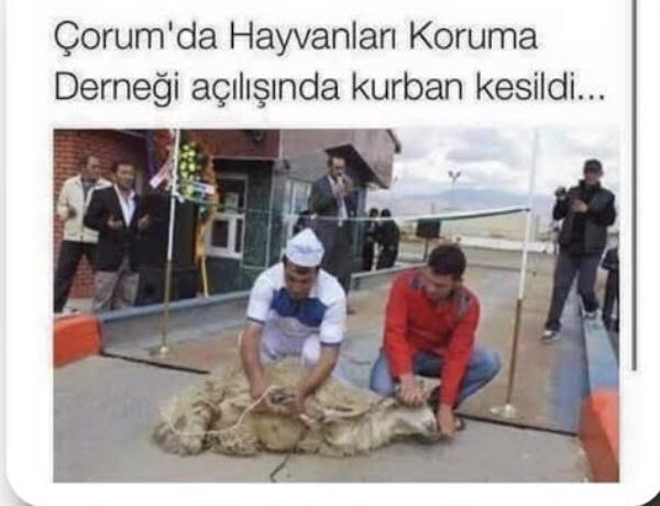 Kisaca ülkenin özeti Çorum'da Hayvanları Koruma Derneği açılışında ...