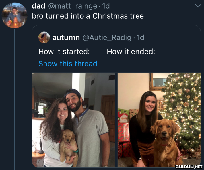 dad @matt_rainge · 1d bro turned into a Christmas tree autumn @Autie ...
