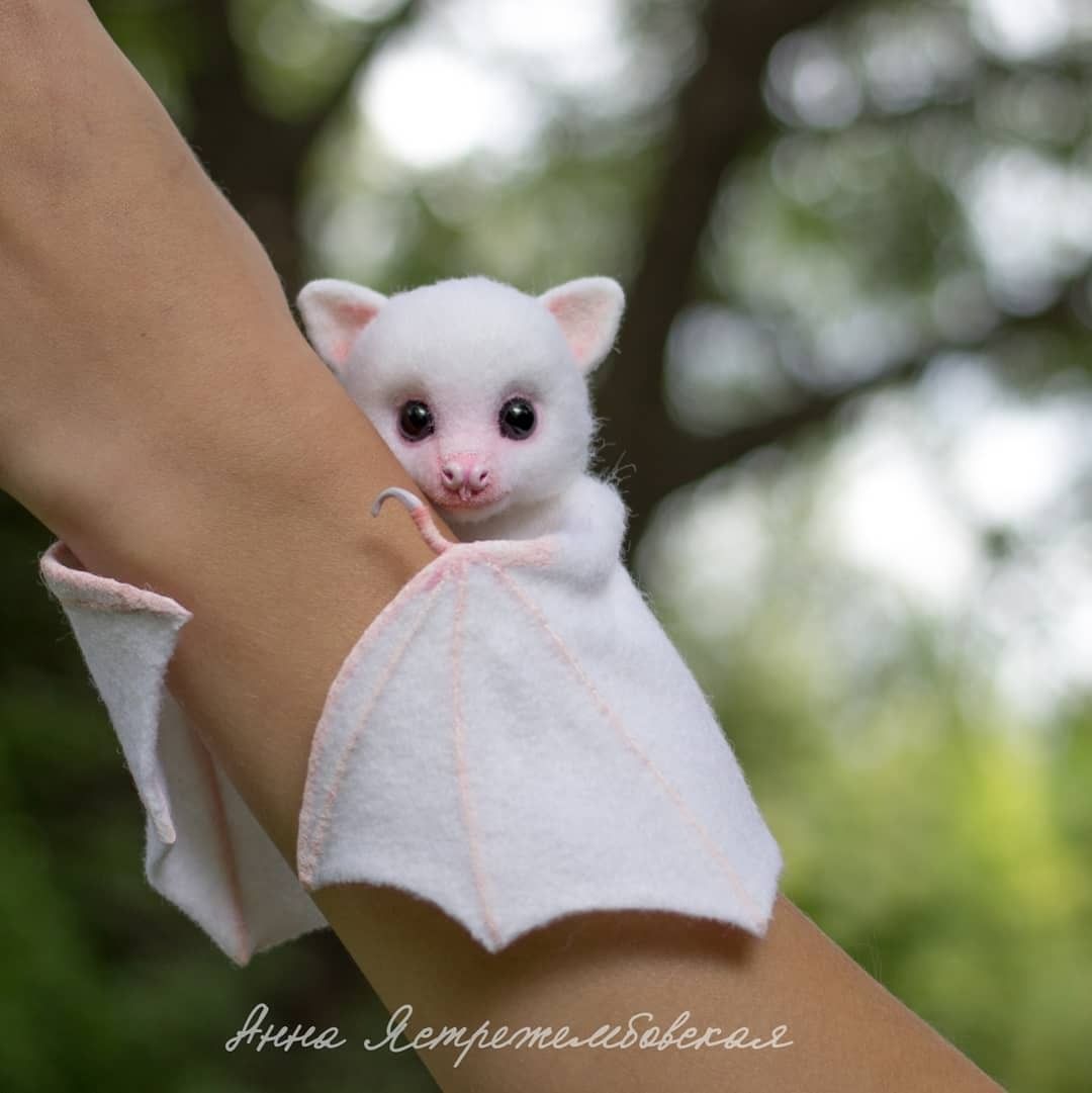 Realistic needle felted bats 🦇 by @yast.anna - #woolfelt #bat #9gag - Guldum.net - Caps arama motoru
