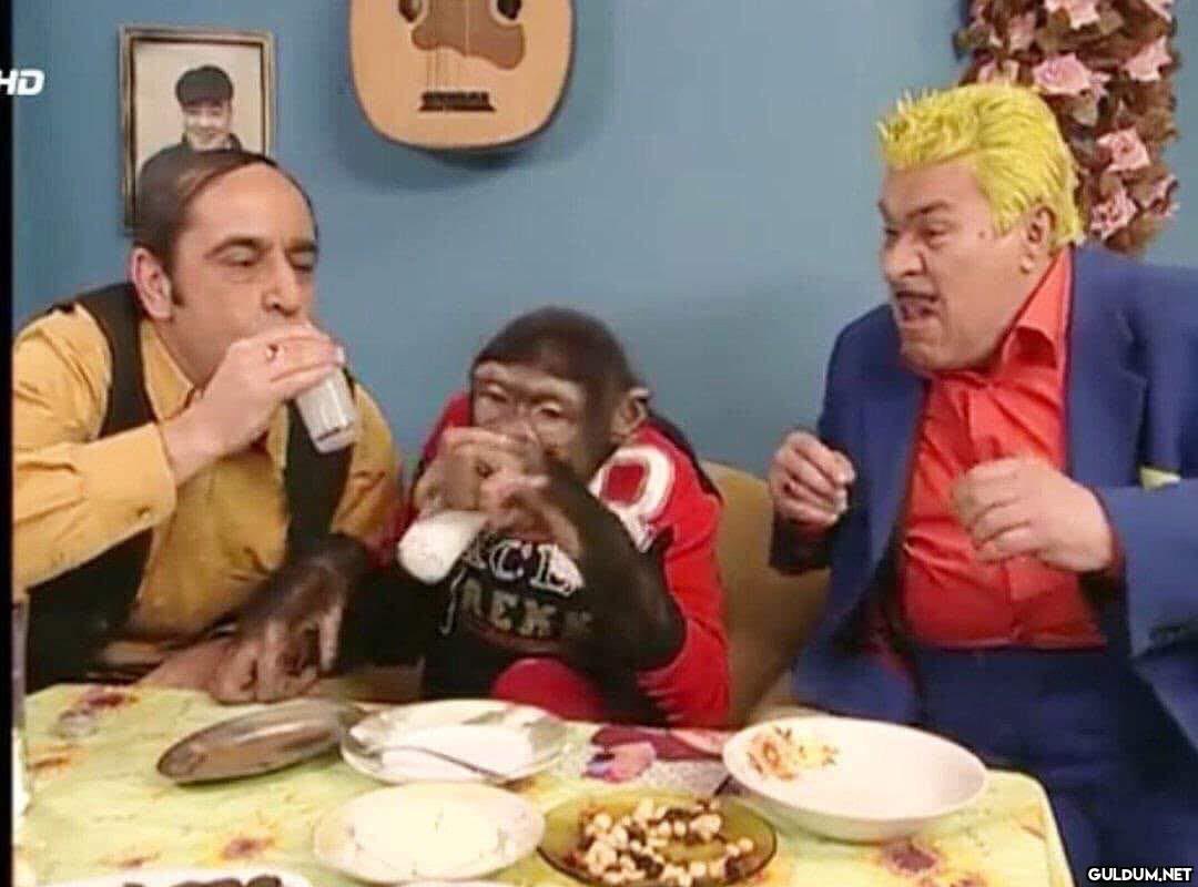 Charles Darwin ve Richard Dawkins istanbula gelen turist kafilesini ...