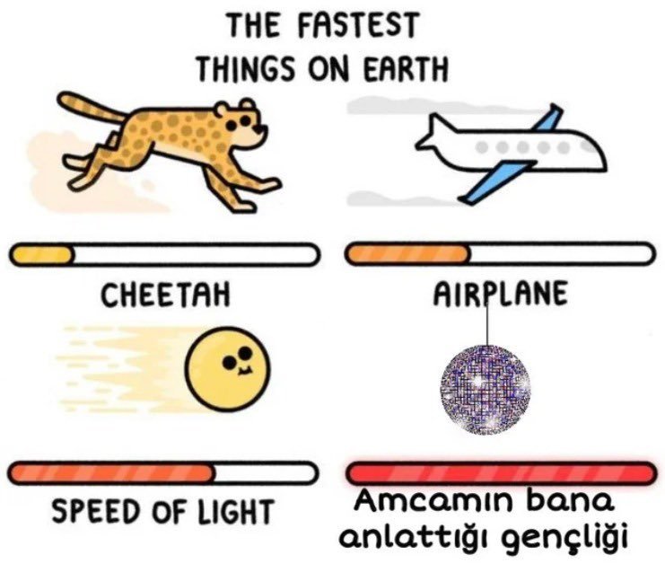 THE FASTEST THINGS ON EARTH CHEETAH AIRPLANE Amcamın bana anlattığı ...