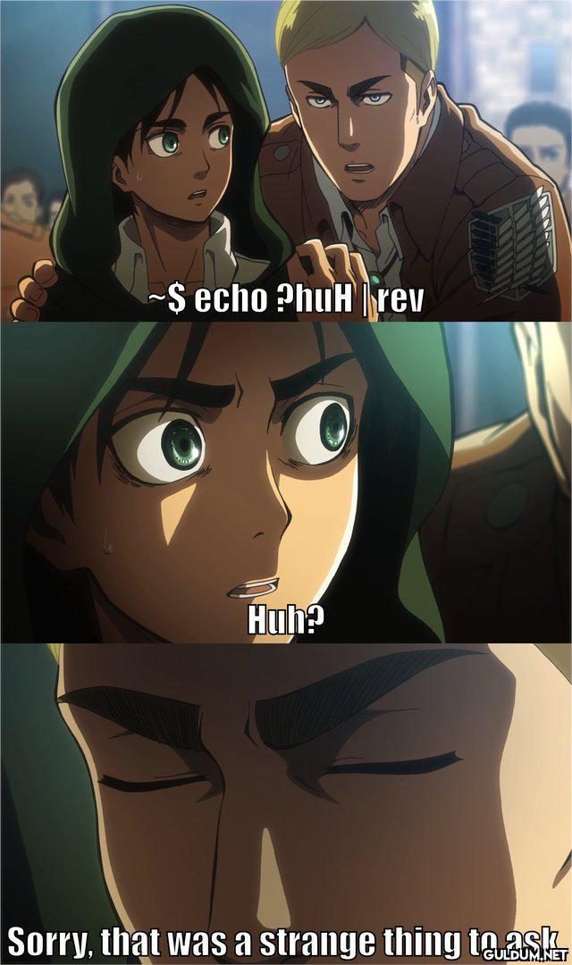 Meme to bend your mind ;) (Hint see rev command on your Linux or Unix ...