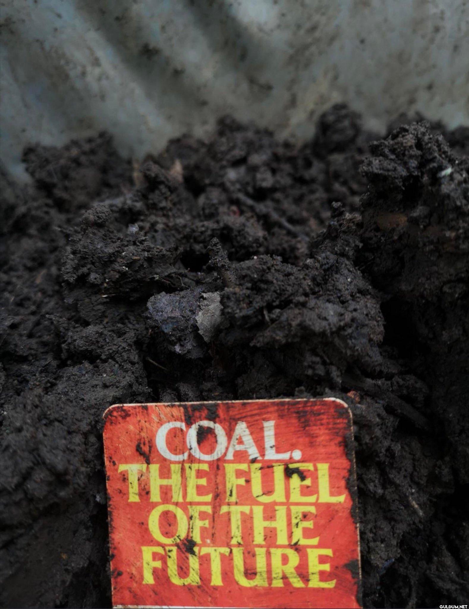COAL. THE FUELS OF THE FUTURE - Guldum.net - Caps arama motoru