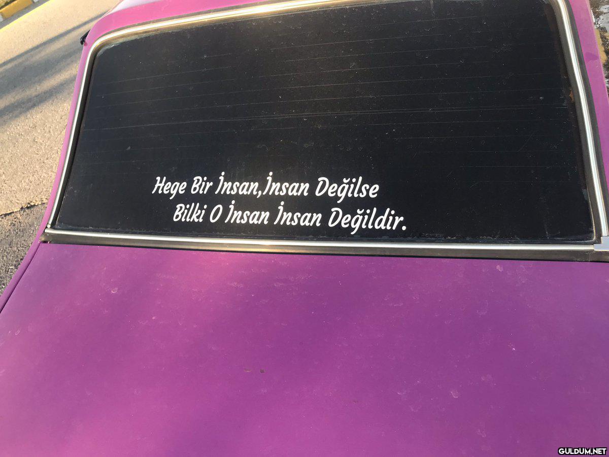 Hege Bir İnsan, İnsan Değilse Bilki O İnsan İnsan Değildir. - Guldum ...