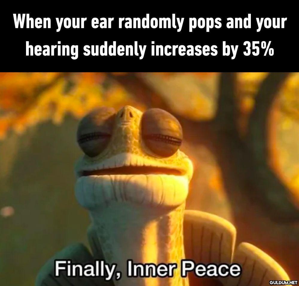 How satisfying #ear #peace #memes #9gag When your ear randomly pops and ...