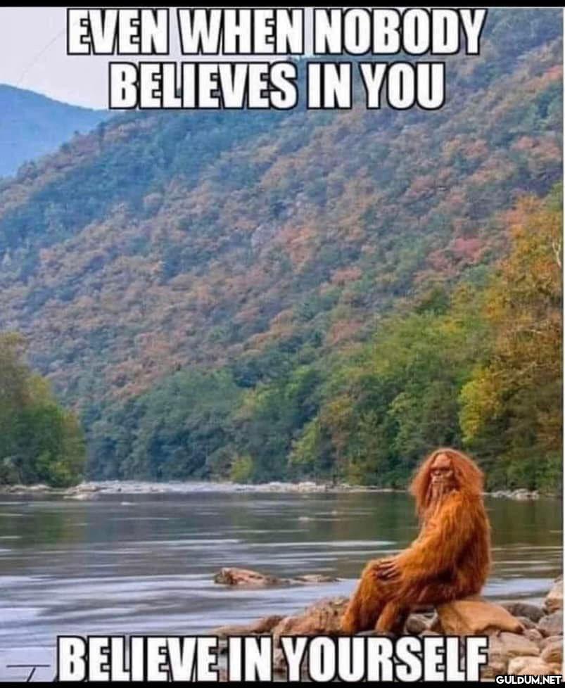 In times like these… https://t.co/pzPUl3ohmj EVEN WHEN NOBODY BELIEVES ...