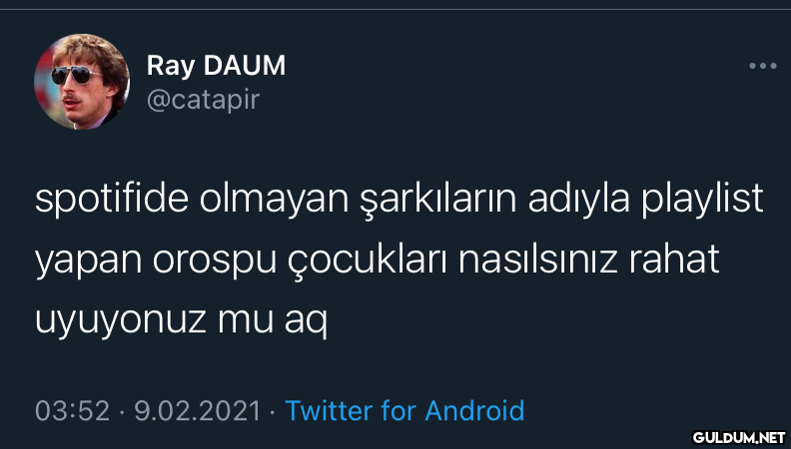 Ray DAUM @catapir spotifide olmayan şarkıların adıyla playlist yapan ...