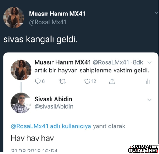 Muasir Hanım MX41 @RosaLMx41 sivas kangalı geldi. Muasir Hanım MX41 @RosaLMx41.8dk artık bir ...