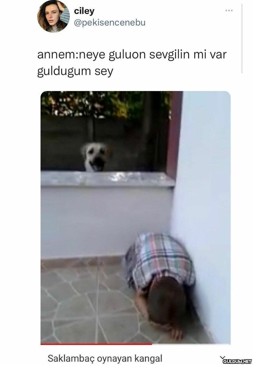ciley @pekisencenebu annem:neye guluon sevgilin mi var guldugum sey ...