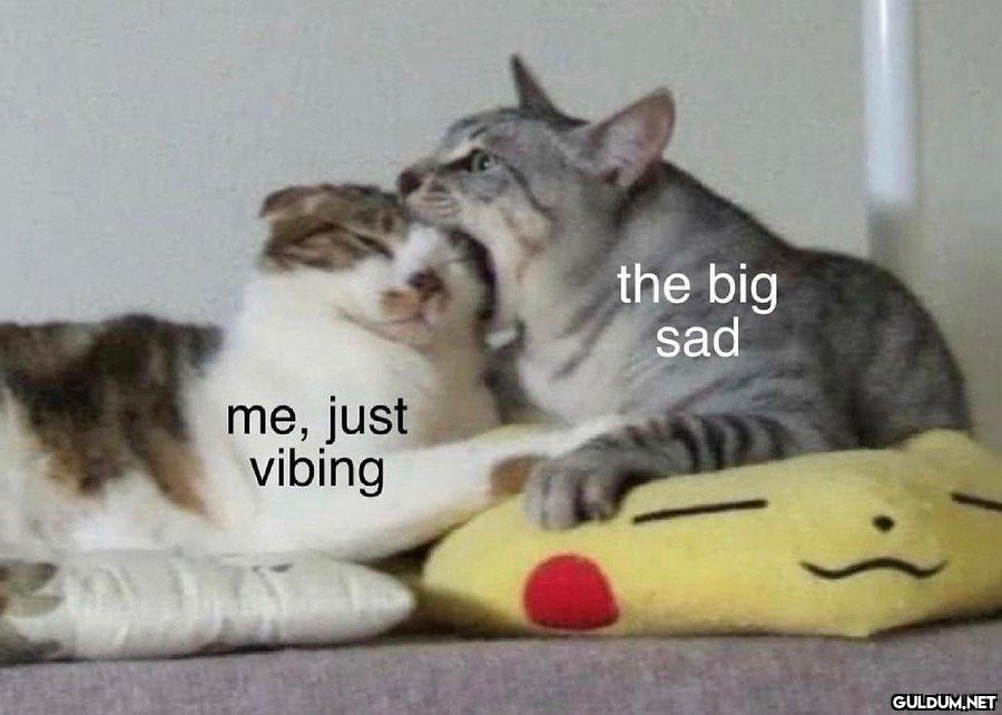 20 me, just vibing the big sad 1 - Guldum.net - Caps arama motoru