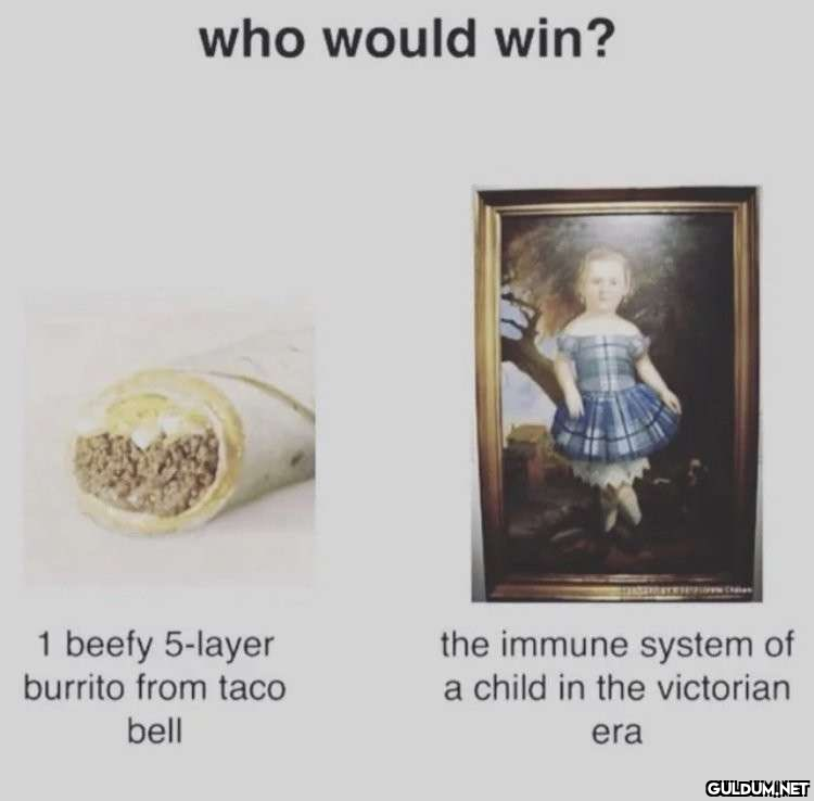 who would win? 1 beefy 5-layer burrito from taco bell the immune system ...