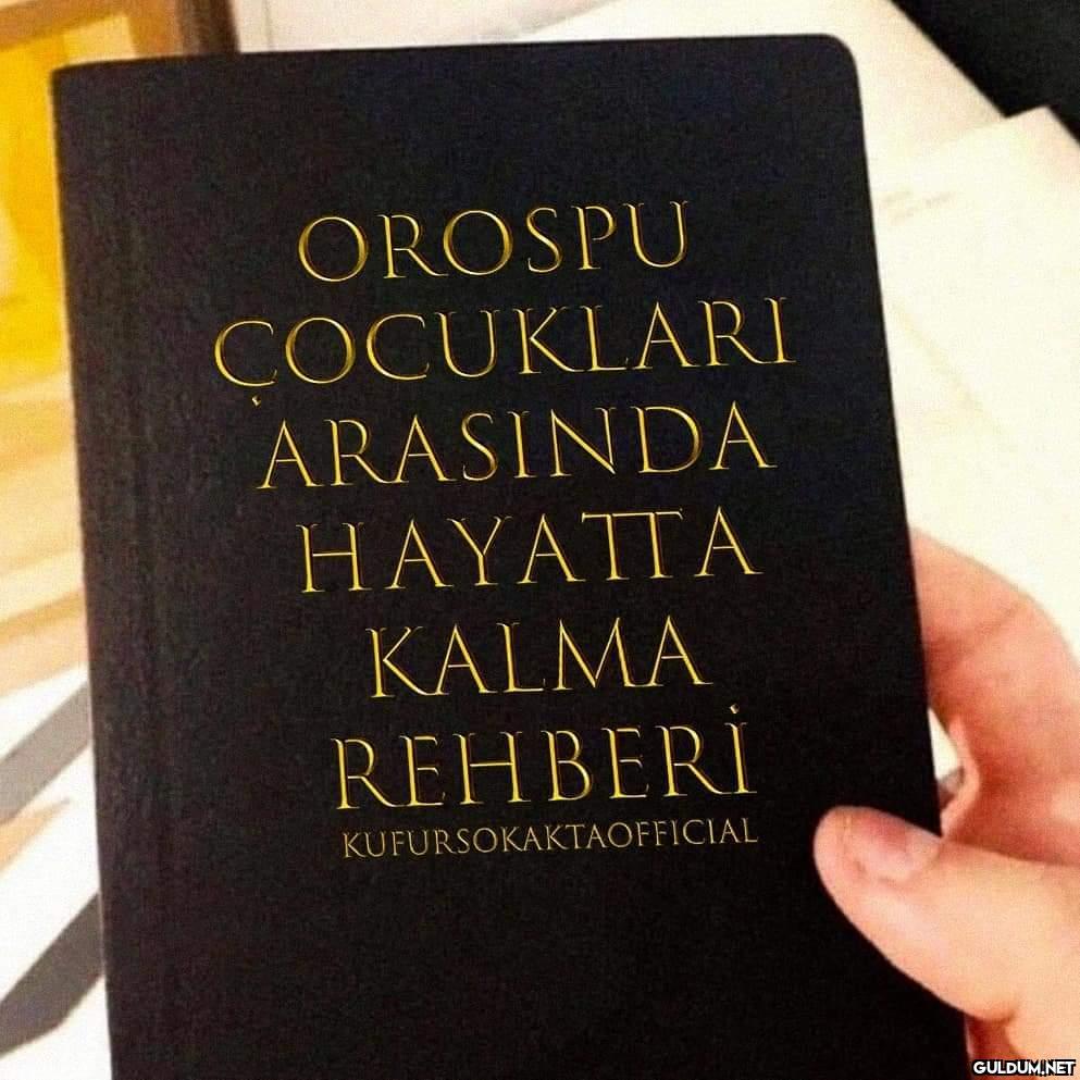 @OguzhanUgur https://t.co/EUOyrhQXPH OROSPU COCUKLARI ARASINDA HAYATTA ...