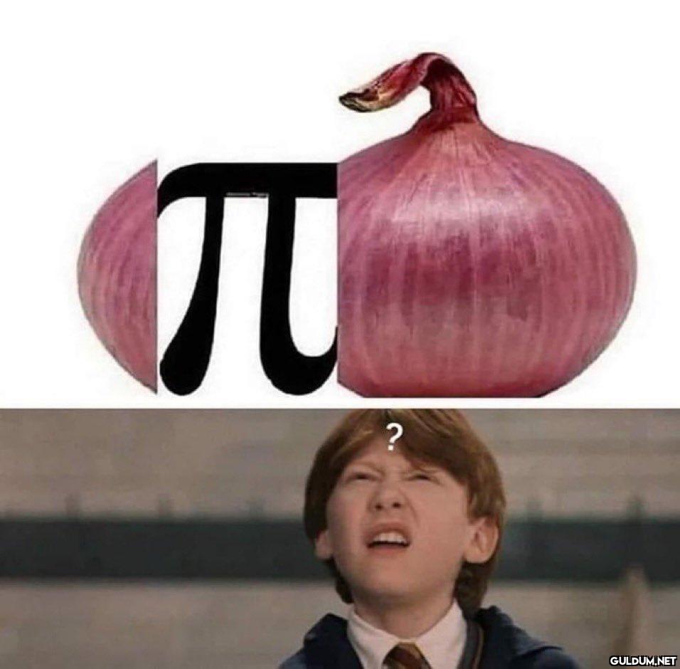 opinion onion Ron harry potter pi https://t.co/N3xwAhRRz8 ? - Guldum ...
