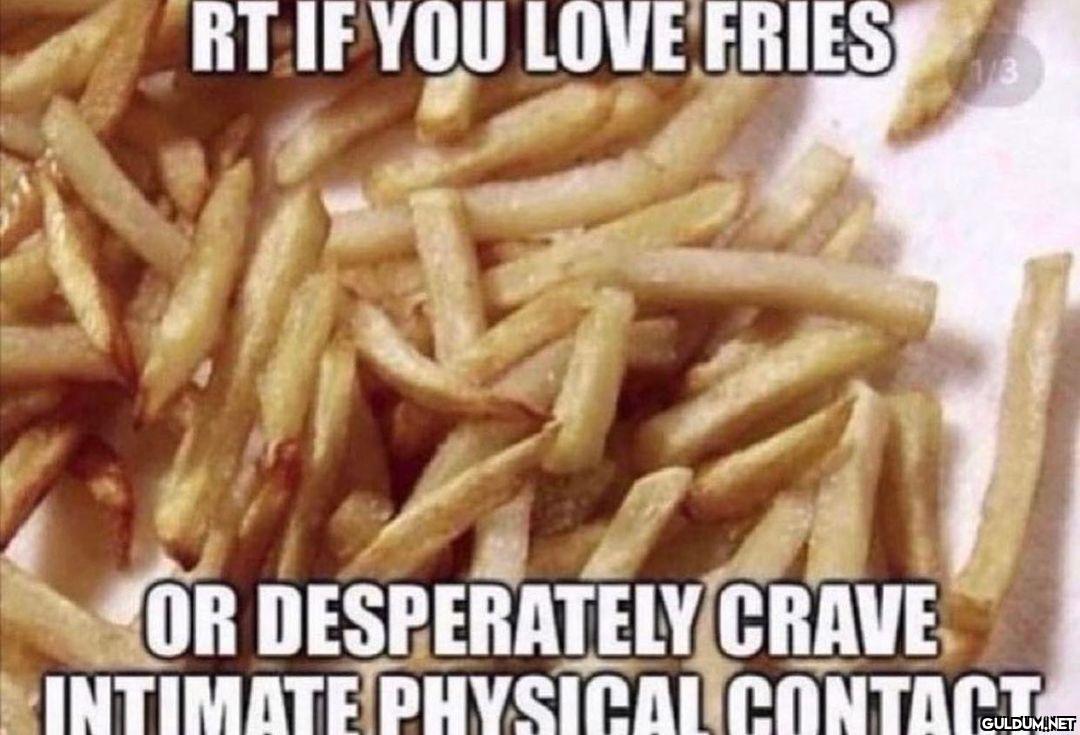 RT IF YOU LOVE FRIES 1/3 OR DESPERATELY CRAVE INTIMATE PHYSICAL CONTACT ...
