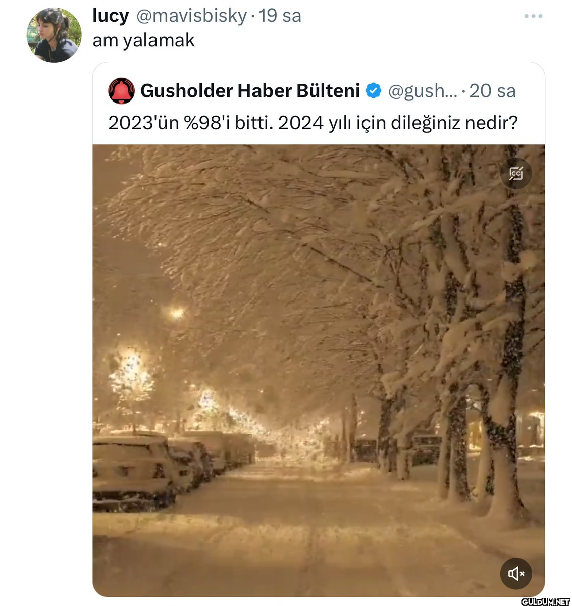 lucy @mavisbisky. 19 sa am yalamak Gusholder Haber Bülteni @gush... 20 ...