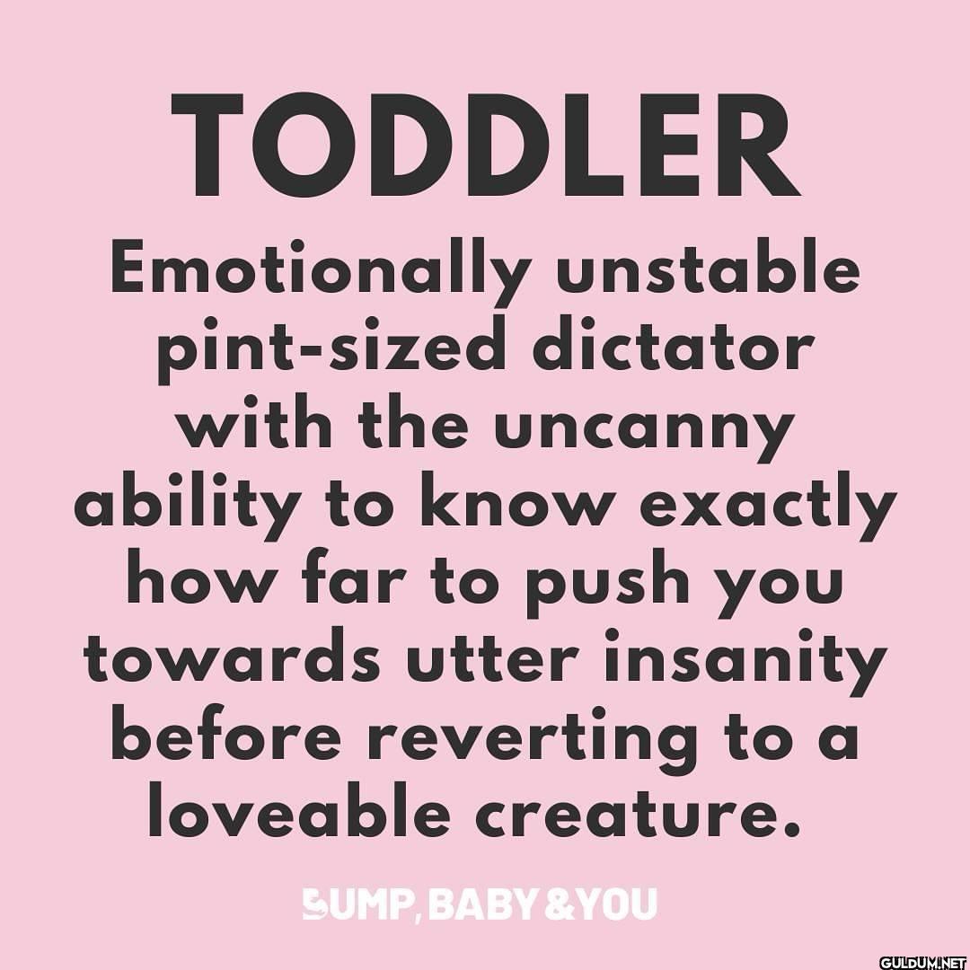 😳🤣 sooo accurate! TODDLER Emotionally unstable pint-sized dictator with ...