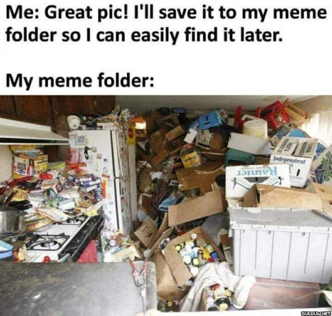Cluttered but comprehensive 🗃️ Me: Great pic! I'll save it to my meme ...