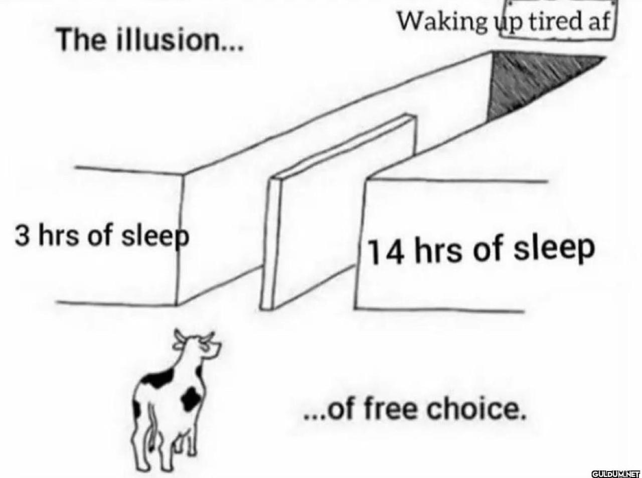@existenceispain123 The illusion... Waking up tired af 3 hrs of sleep ...