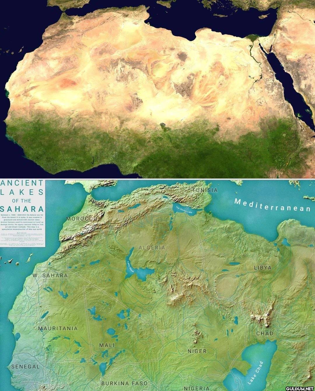 The Sahara desert 6000 years ago ANCIENT LAKES OF THE SAHARA tween 7000 ...