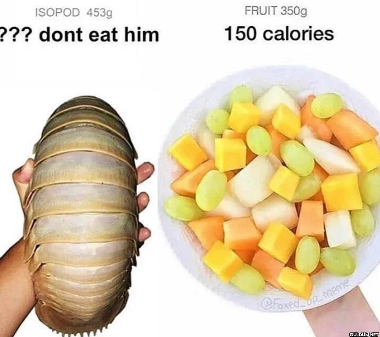 ISOPOD 453g ??? dont eat him FRUIT 350g 150 calories @Foxed-up-meme ...