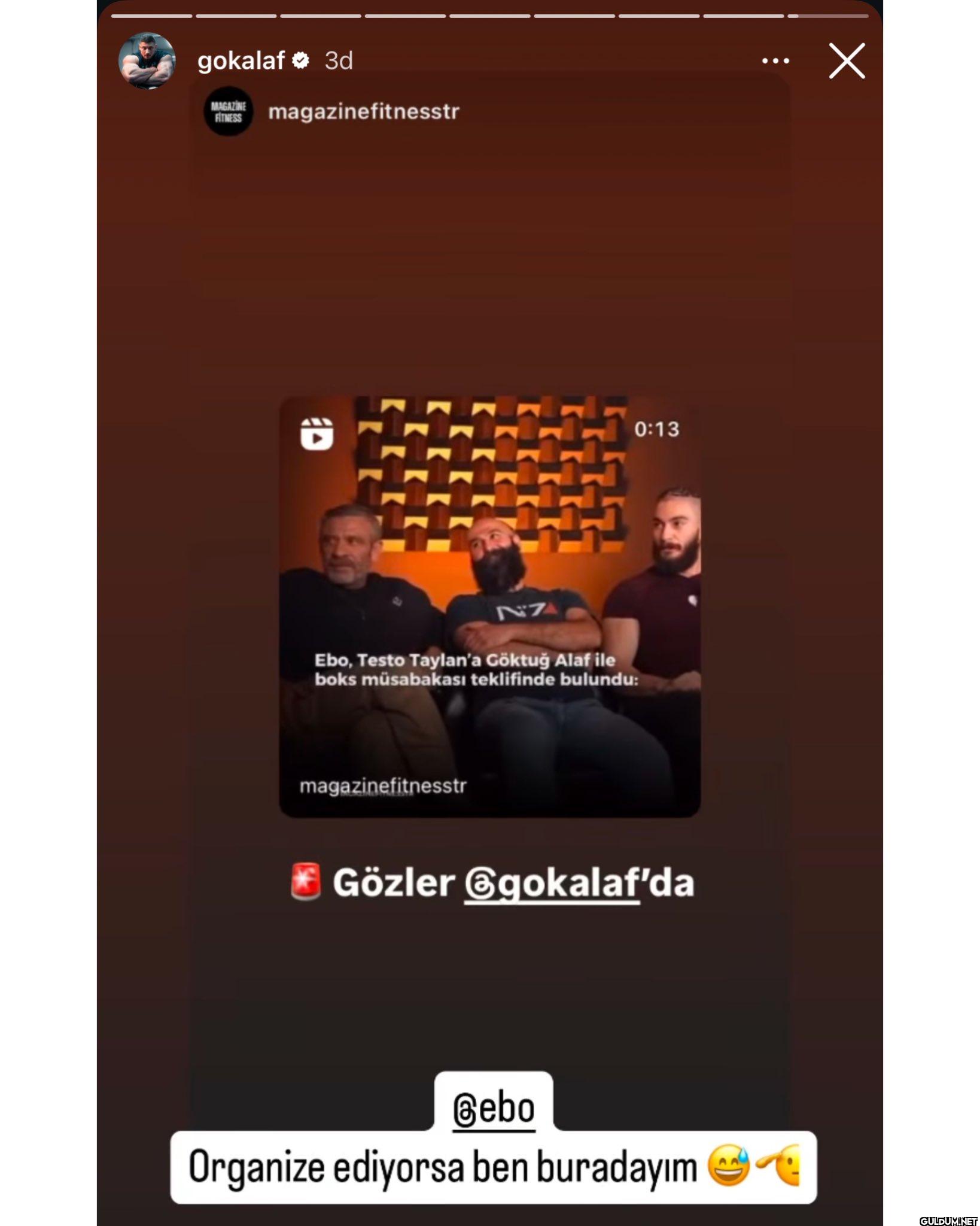 Gokalaf, Testo Taylan ile boks yapmayı kabul etti. gokalaf 3d MAGAZINE ...