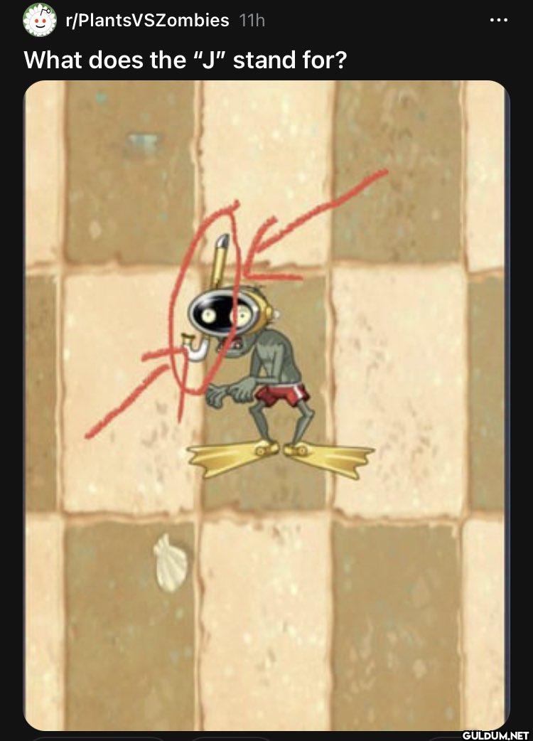 r/PlantsVSZombies 11h What does the "J" stand for? - Guldum.net - Caps ...