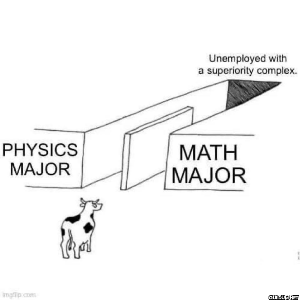 Unemployed with a superiority complex. PHYSICS MAJOR MATH MAJOR imgflip.com - Guldum.net - Caps ...