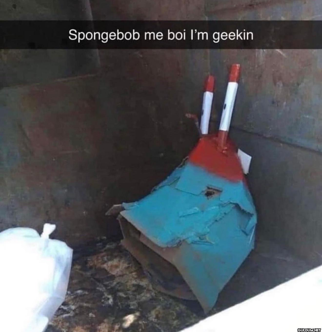 Spongebob me boi I'm geekin - Guldum.net - Caps arama motoru