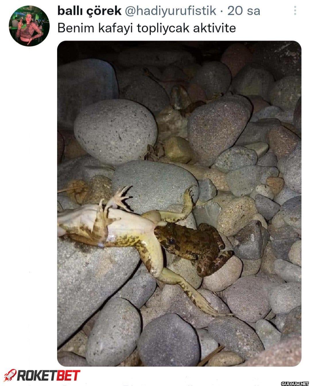 20 sa Benim kafayi topliycak aktivite ROKETBET - Guldum.net - Caps ...