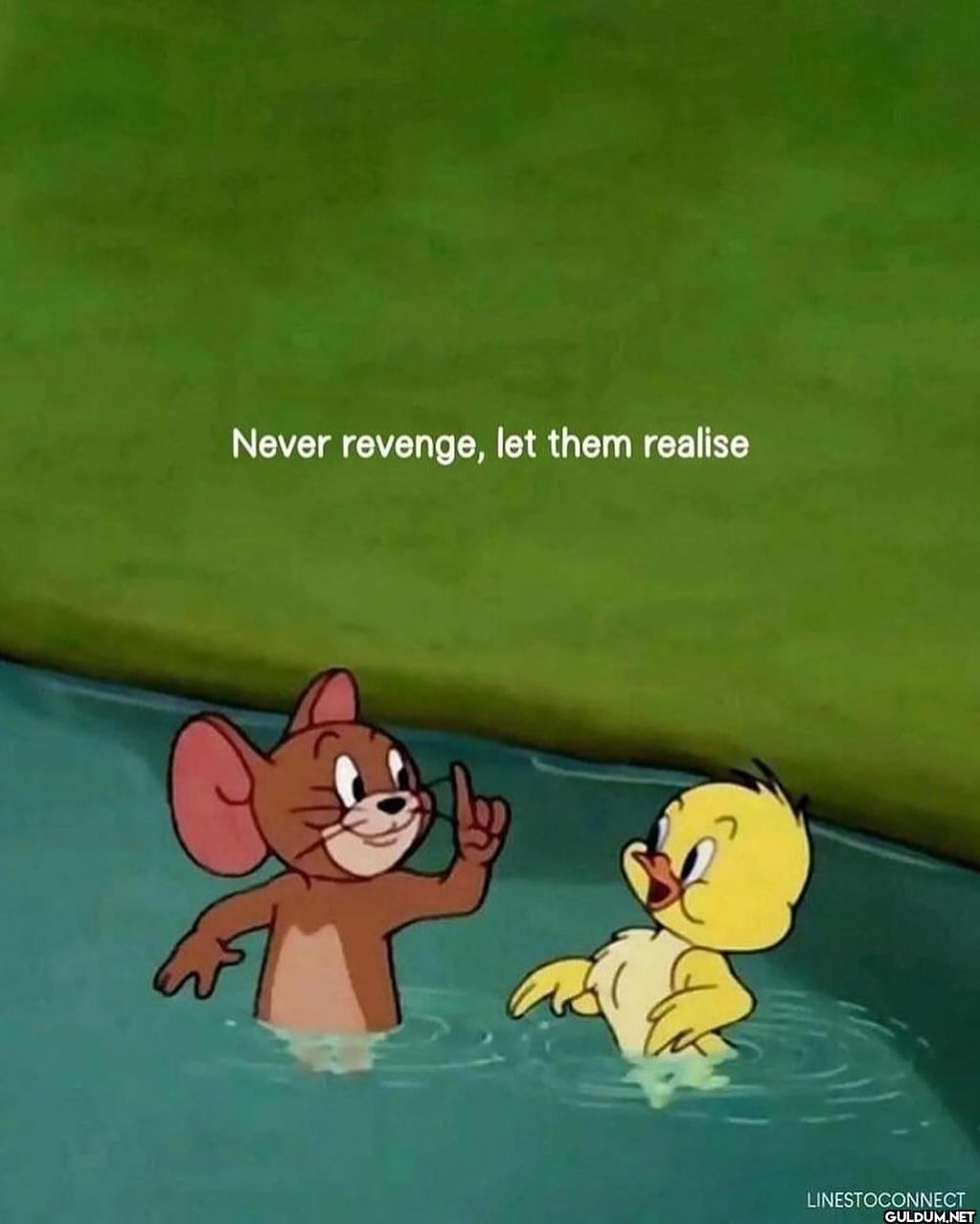 19. Never revenge, let them realise ا تھا LINESTOCONNECT - Guldum.net ...