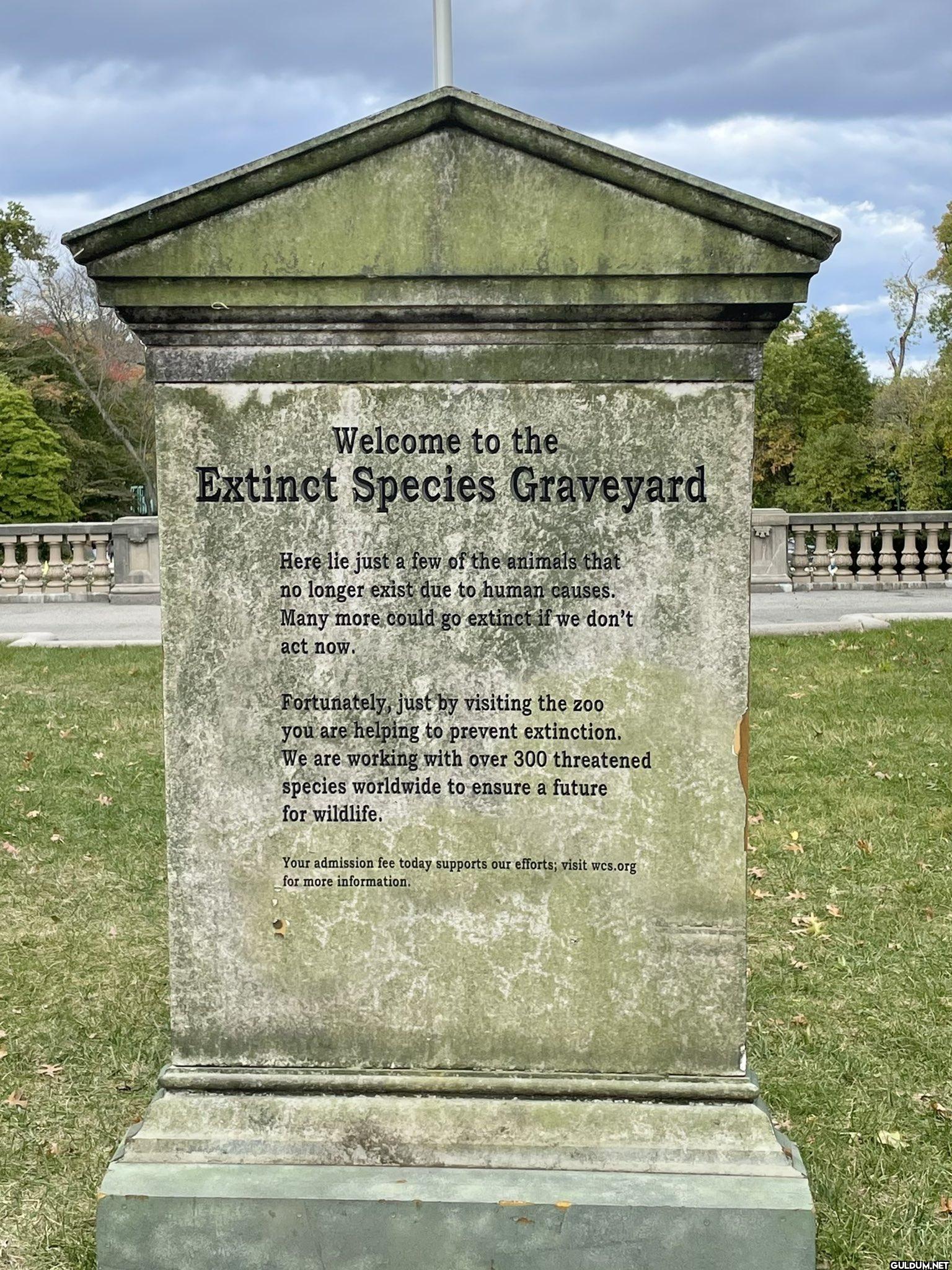 This is the Extinct Species Graveyard at the Bronx Zoo in New York that ...