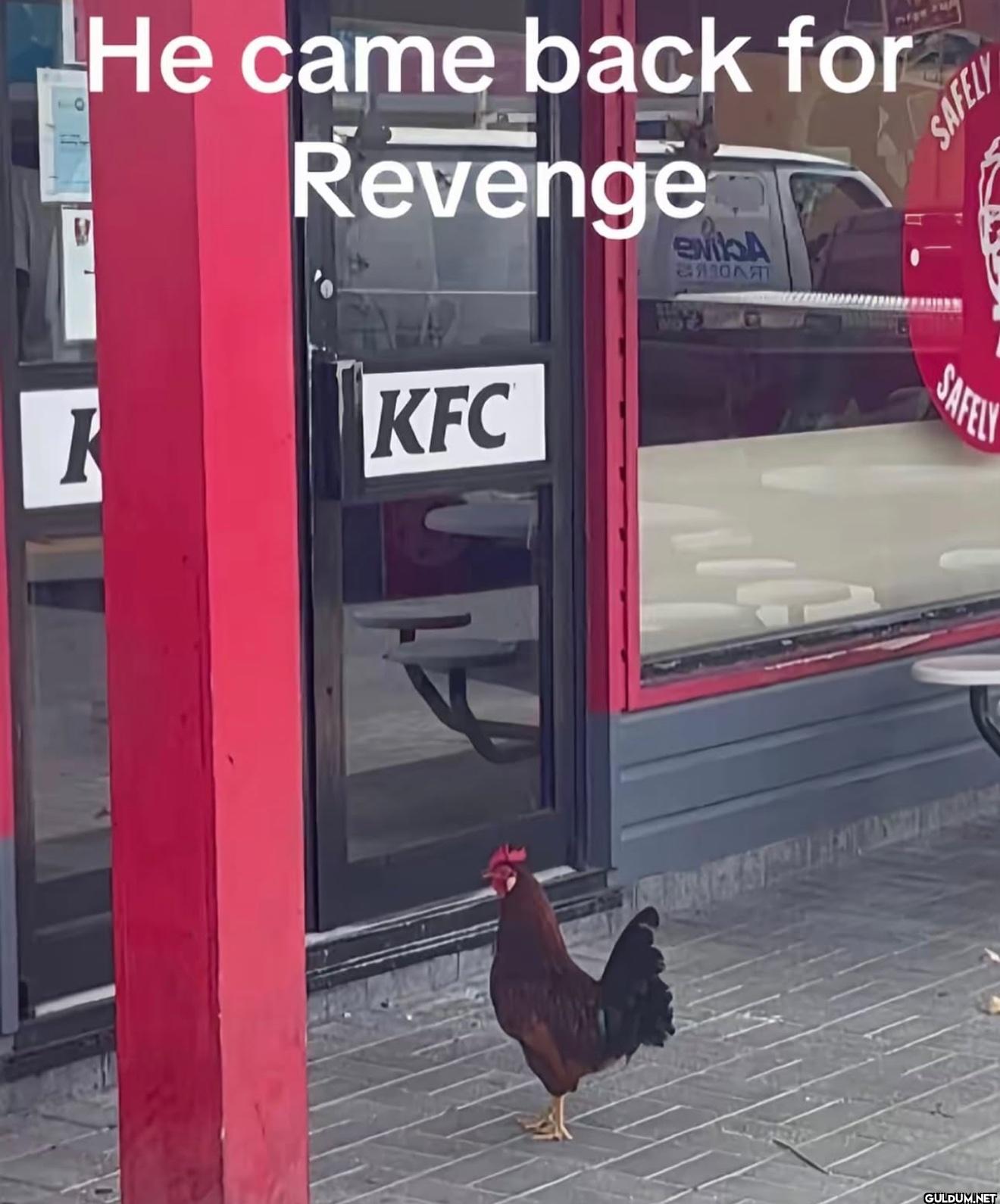 He came back for Revenge eNIKA R KFC SAFELY SAFELY - Guldum.net - Caps ...