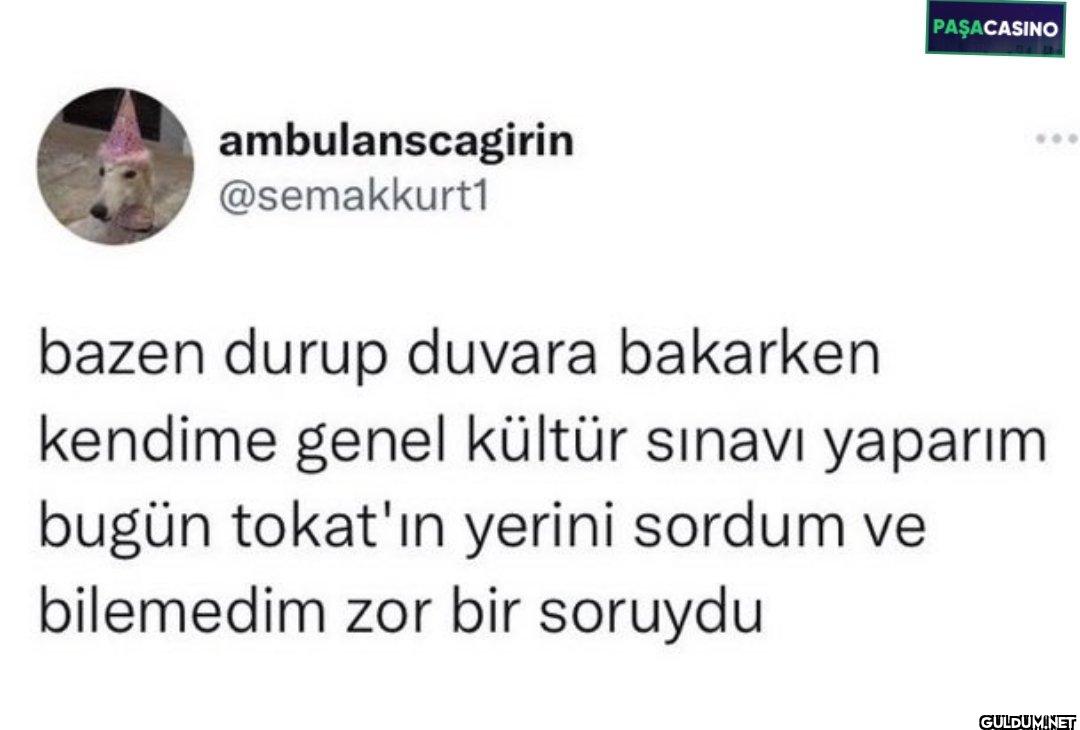 PAŞACASINO bazen durup duvara bakarken kendime genel kültür sınavı ...