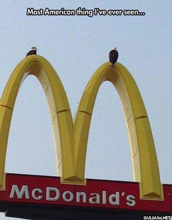 Most American thing I've ever seen... McDonald's - Guldum.net - Caps ...