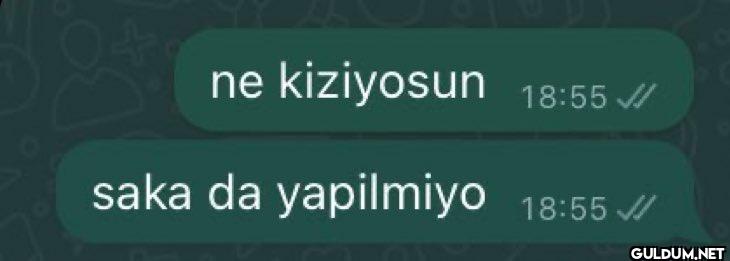 ne kiziyosun 18:55 saka da yapilmiyo 18:55 - Guldum.net - Caps arama motoru